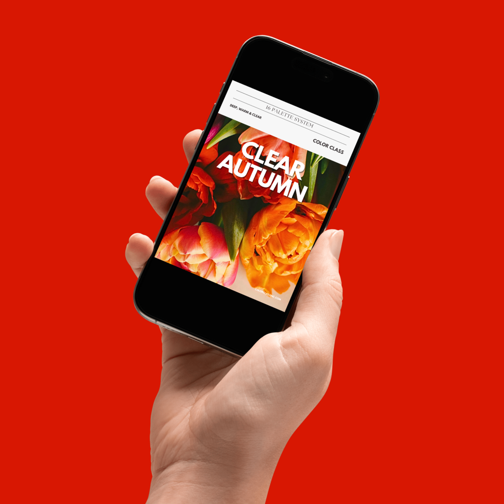 Clear Autumn Digital Color Palette Guide – Color Class